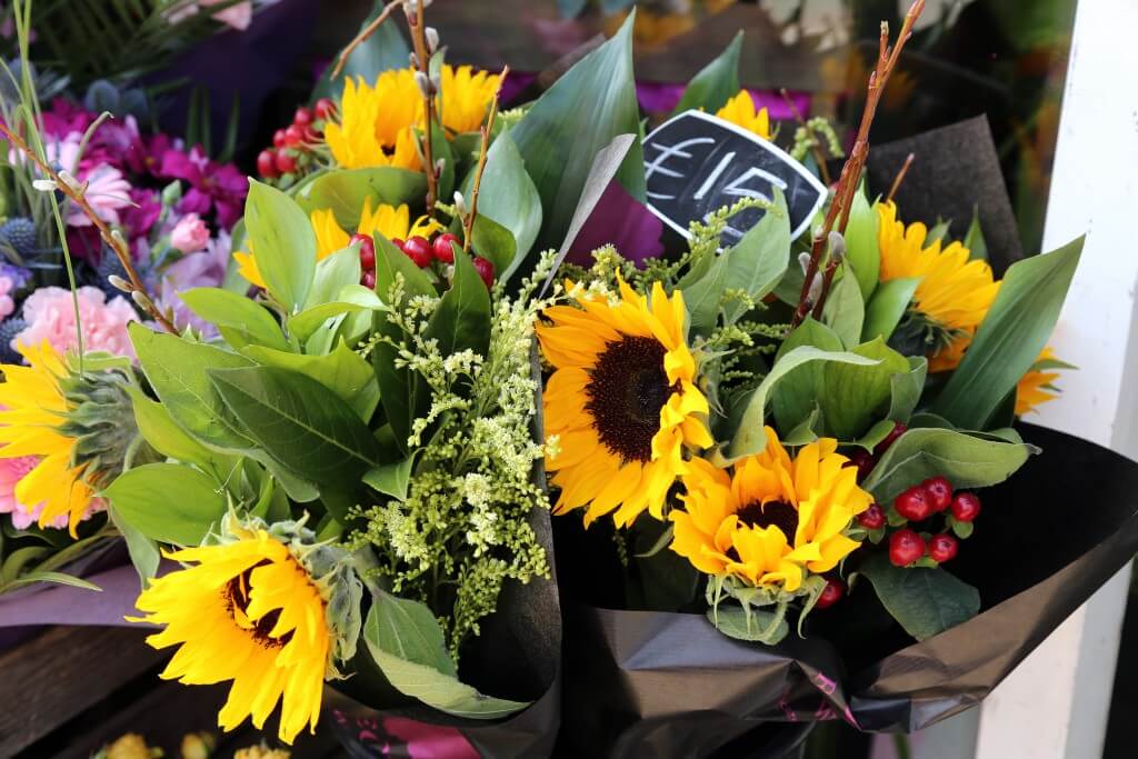 Scarecrow Flowers Virtual Tour | Contemporary Photography